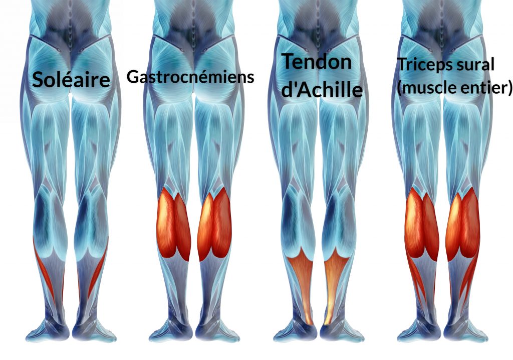 Tendinite d’Achille